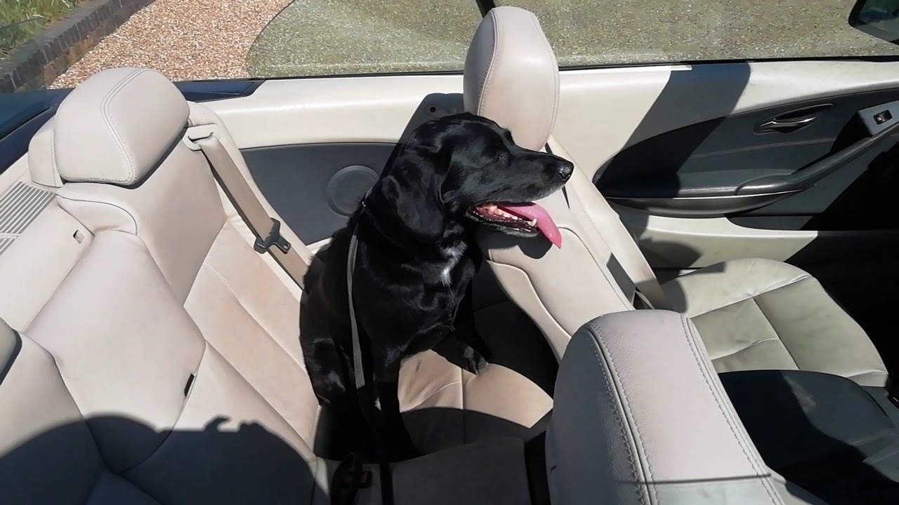 Dirty Cash , Man Treated Like A Disease Ridden Animal - YouTube