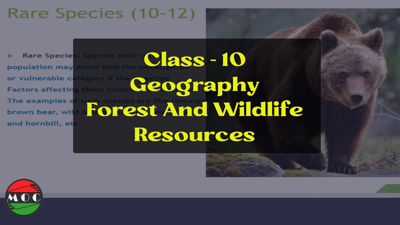 Class - 10 | Geography | Chapter - 2 | Forest And Wildlife Resources ...