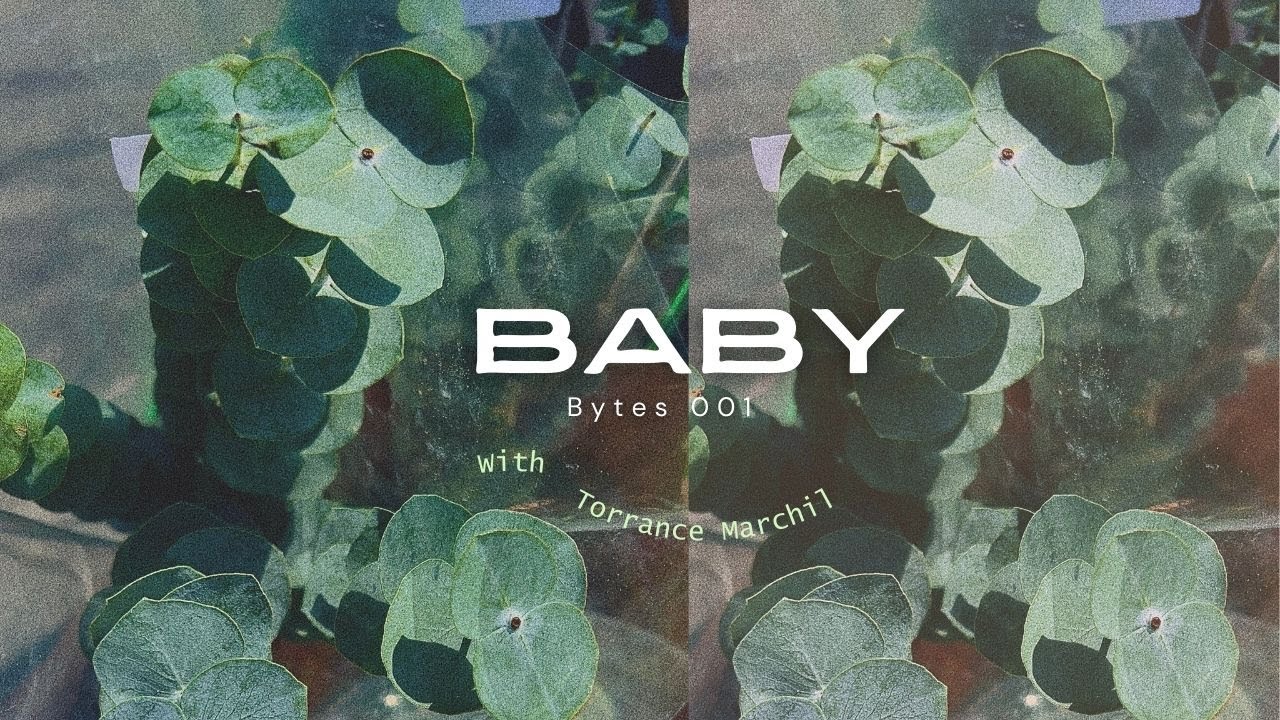 Baby Bytes 001. authority. - YouTube