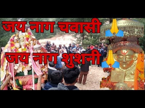 Nag Shushani Ji & Nag Chawasi Ji Milan || Dev Bhoomi Himachal ||Shahi ...