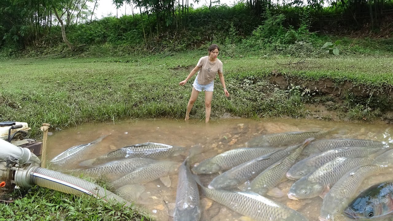 Top videos: Fishing Video - Fishing technology - Unique fishing ...