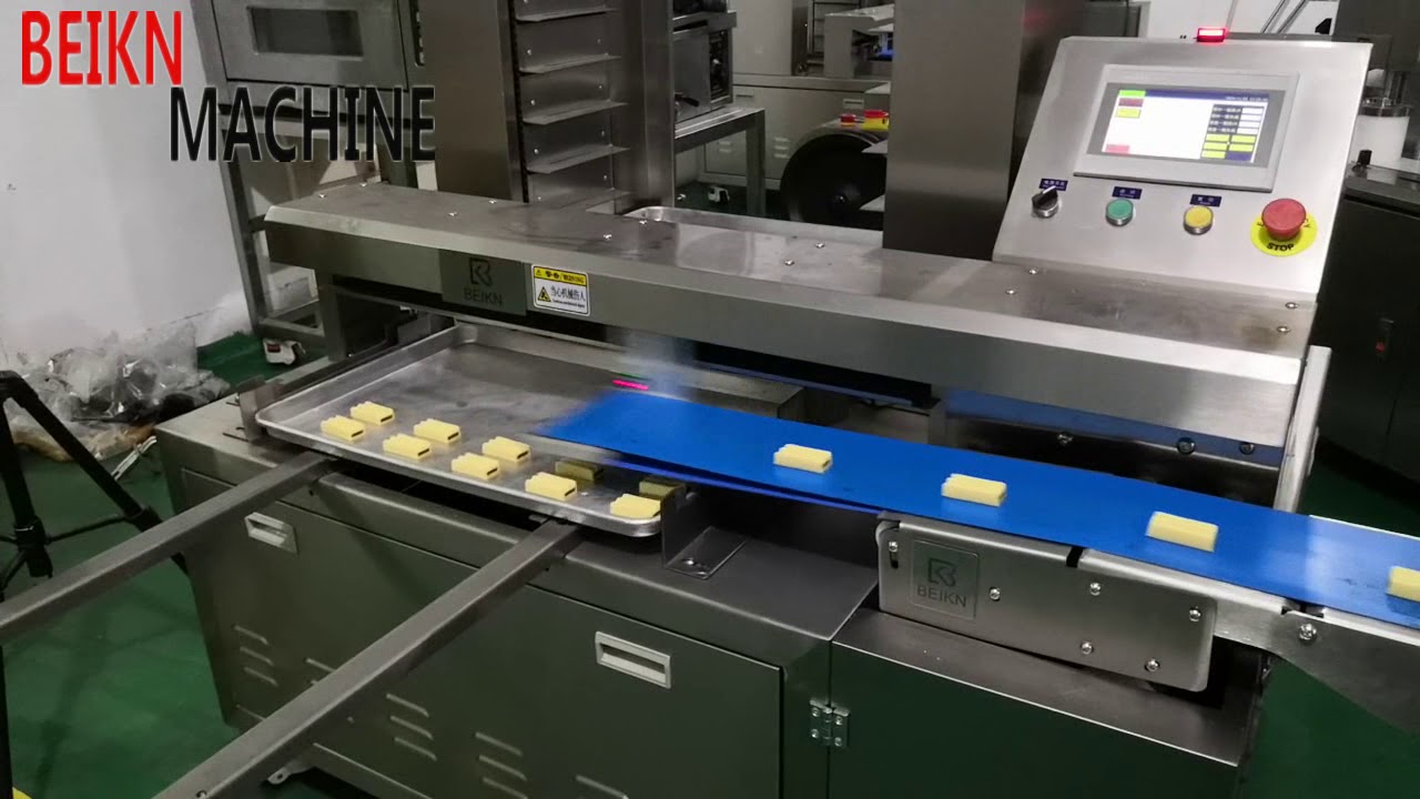 Automatic dates fruit filled bars making machine - YouTube