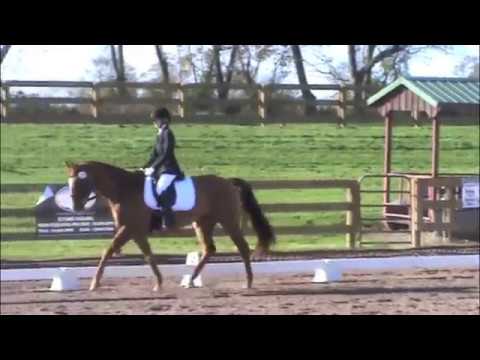 USDF Intro B Dressage Test - 66% - 2011 - YouTube