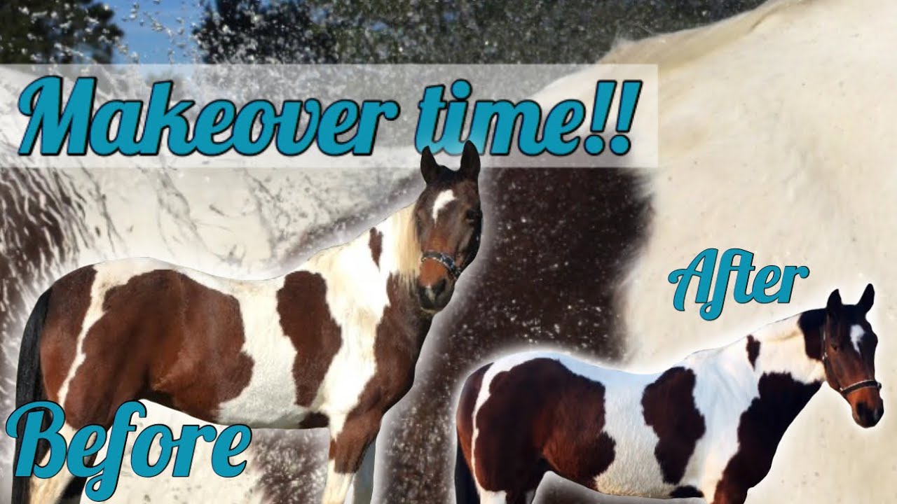 HUGE HORSE MAKEOVER!! - YouTube