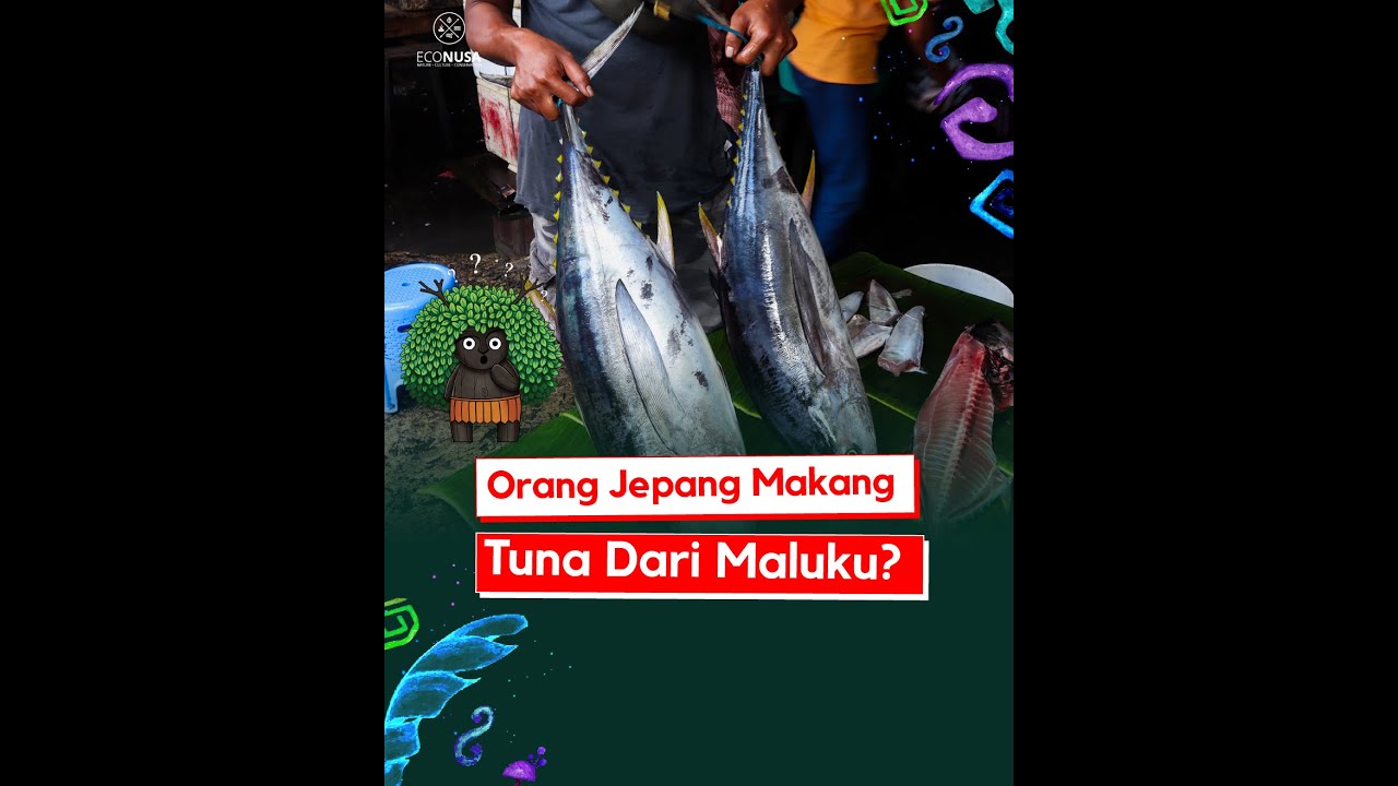 Nelayan Tuna di Maluku masih tangkap ikan pakai cara tradisional yang ...
