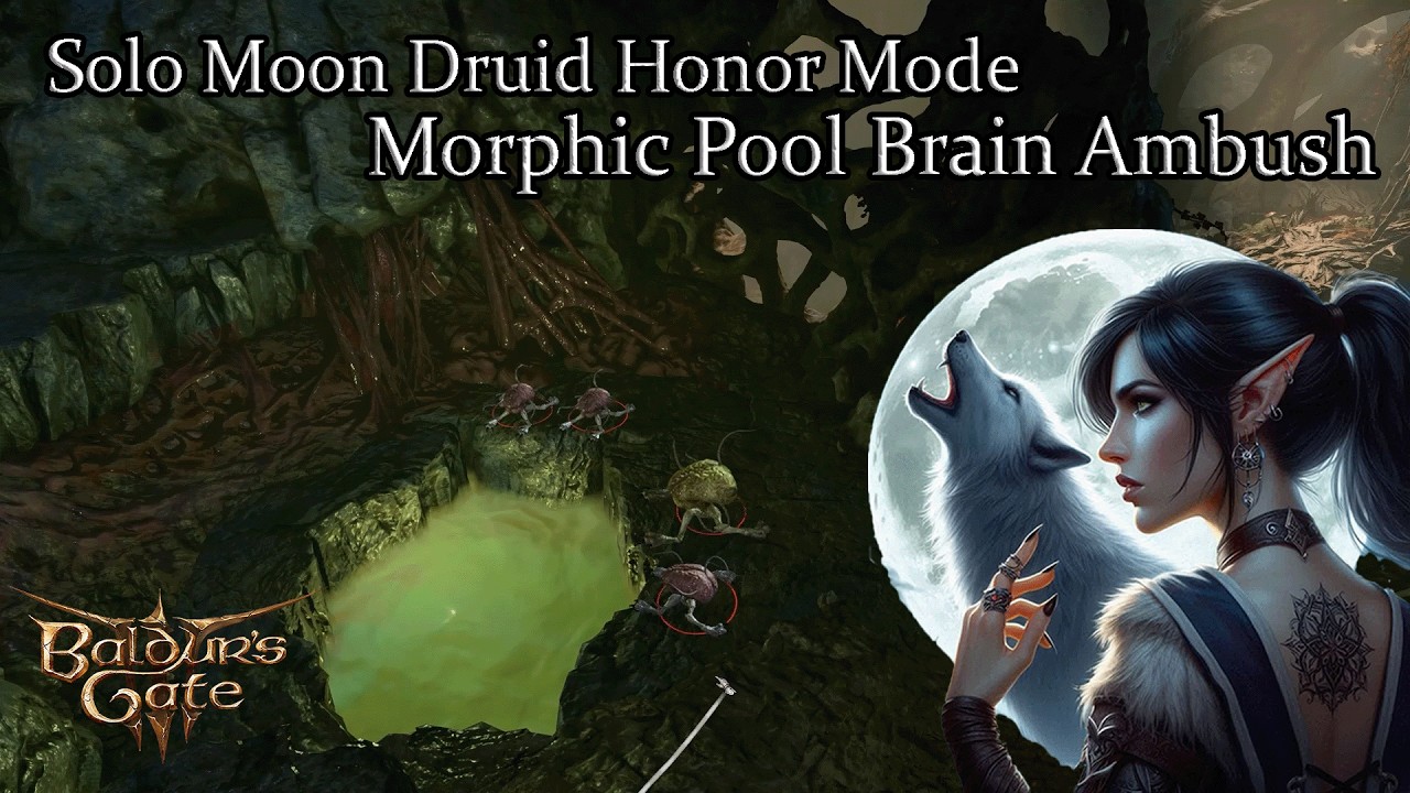 Solo Moon Druid Morphic Pool Brain Ambush Honor Run - YouTube