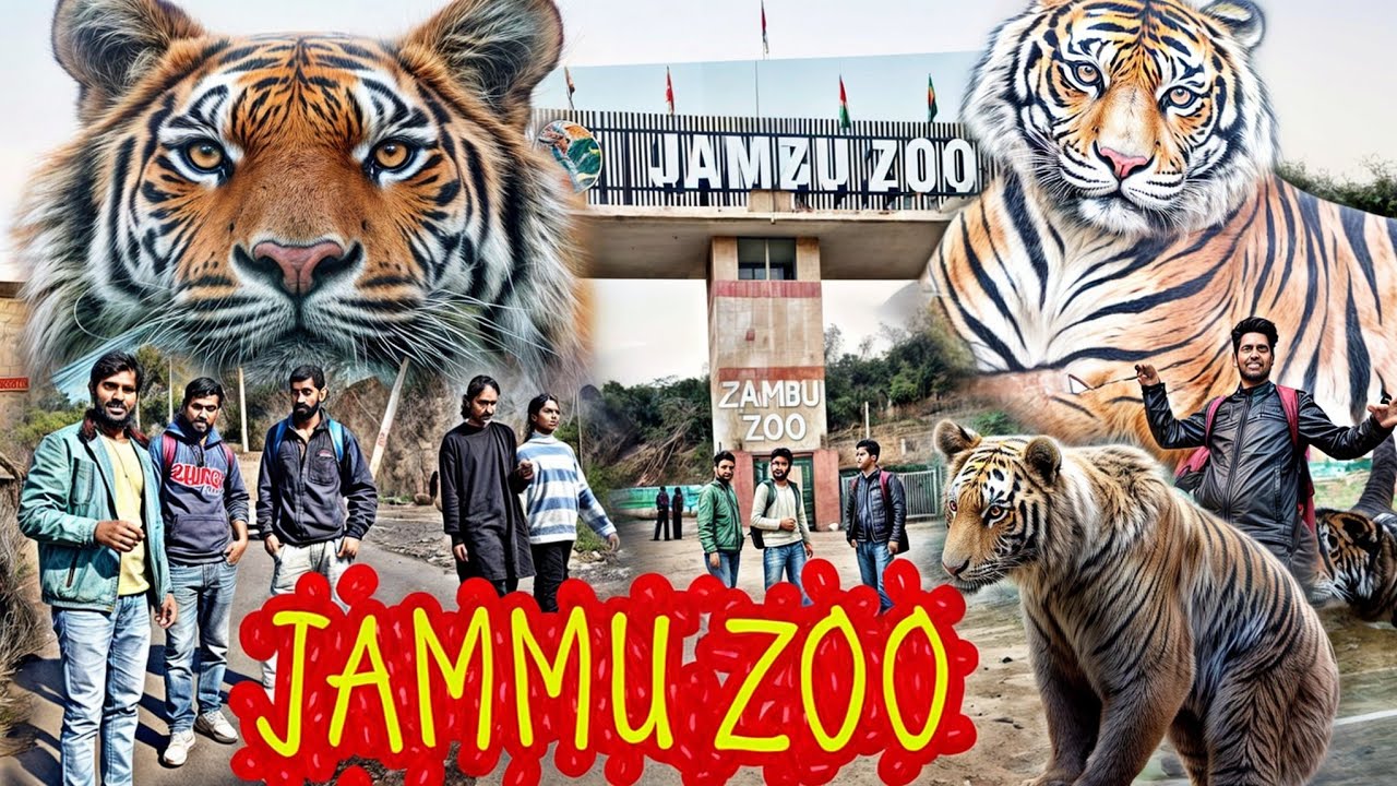 Jambu Zoo | Vlog of jambu zoo - YouTube