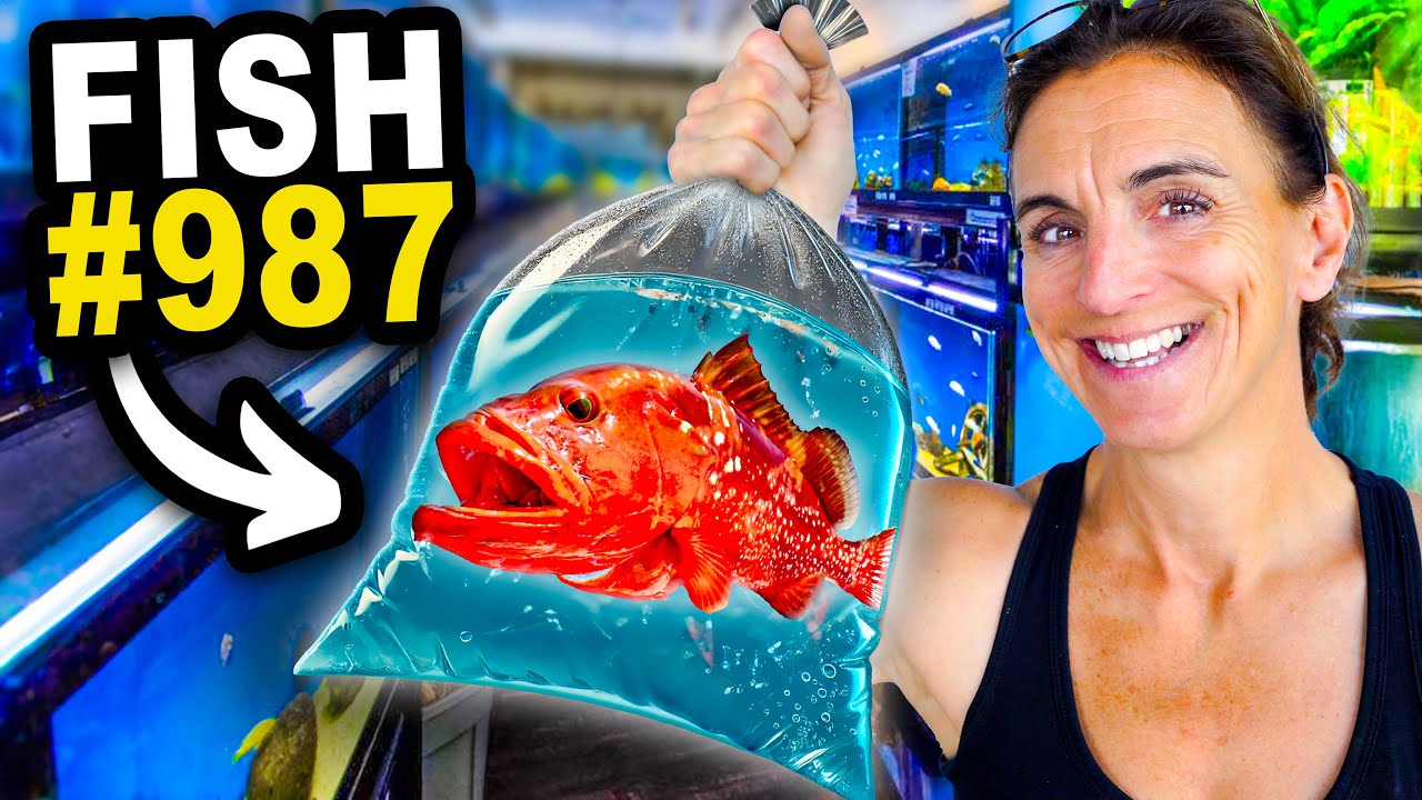 Unboxing Thousands Of Rare Fish! - YouTube