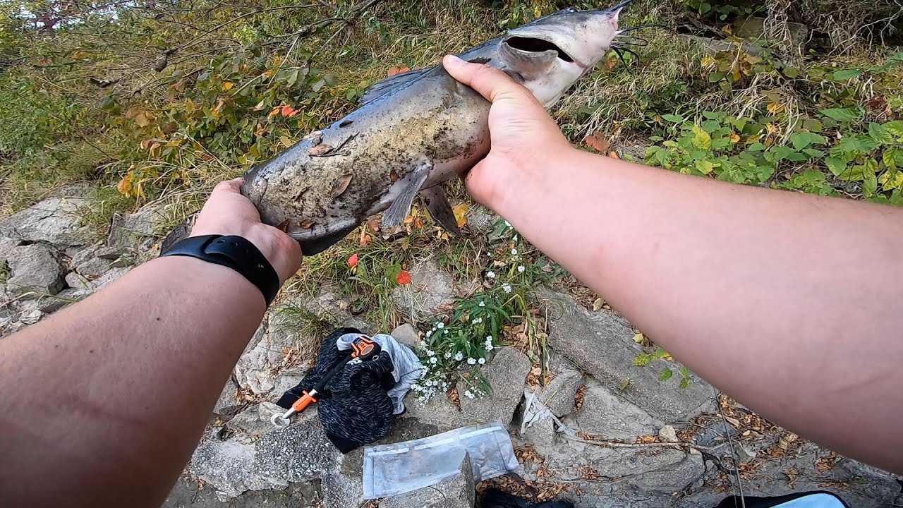New Spot Kitty Creek Time (New PB?) - YouTube