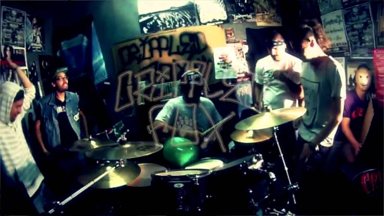 Rad Wolves Compilation Promo_not finished - YouTube