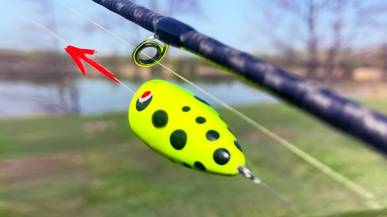 Popper Float Fishing for Big Rudd! Float Popper Rudd Fishing: Targeting ...