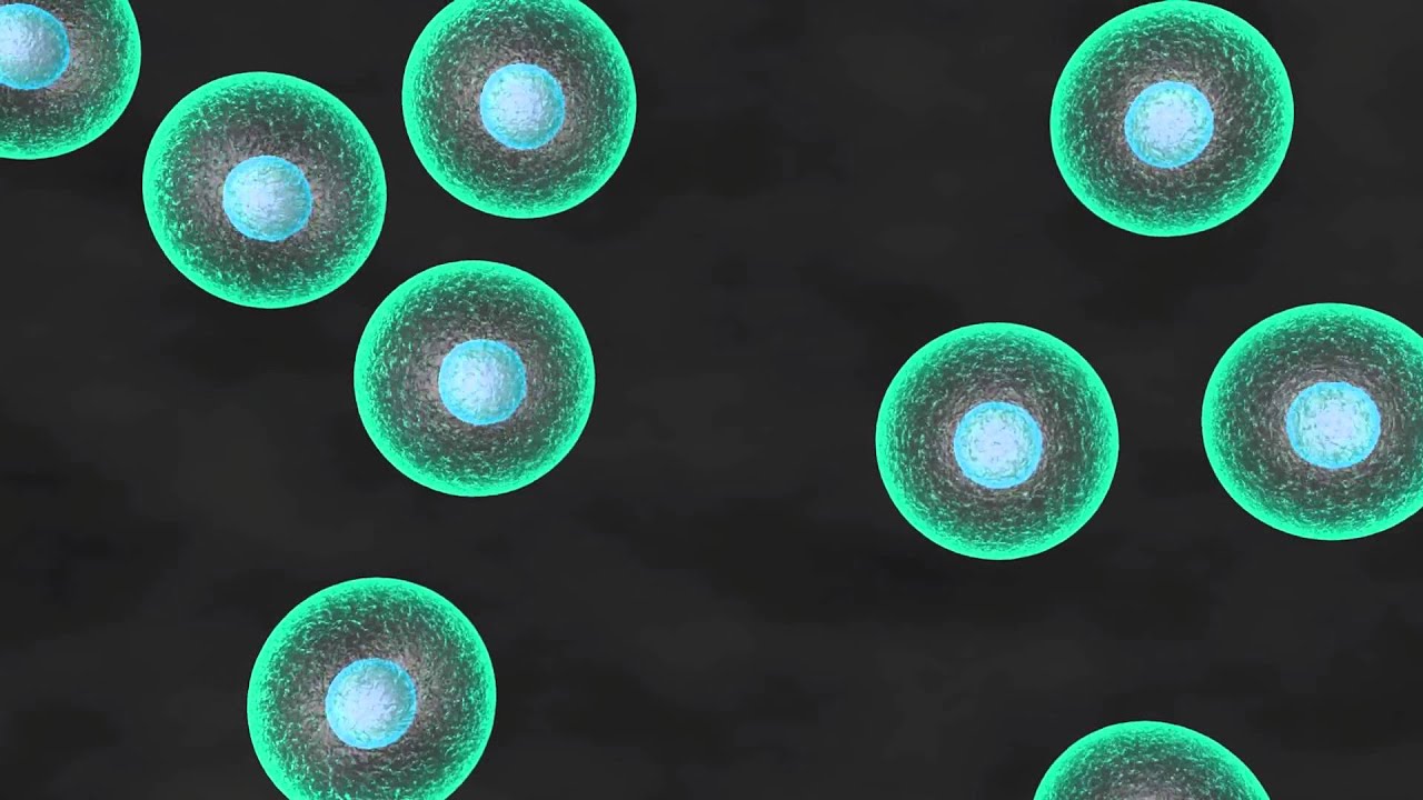 Multiple cell division - Cinema 4D - YouTube