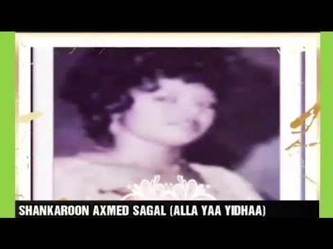 SHANKAROON AXMED SAGAL - YouTube
