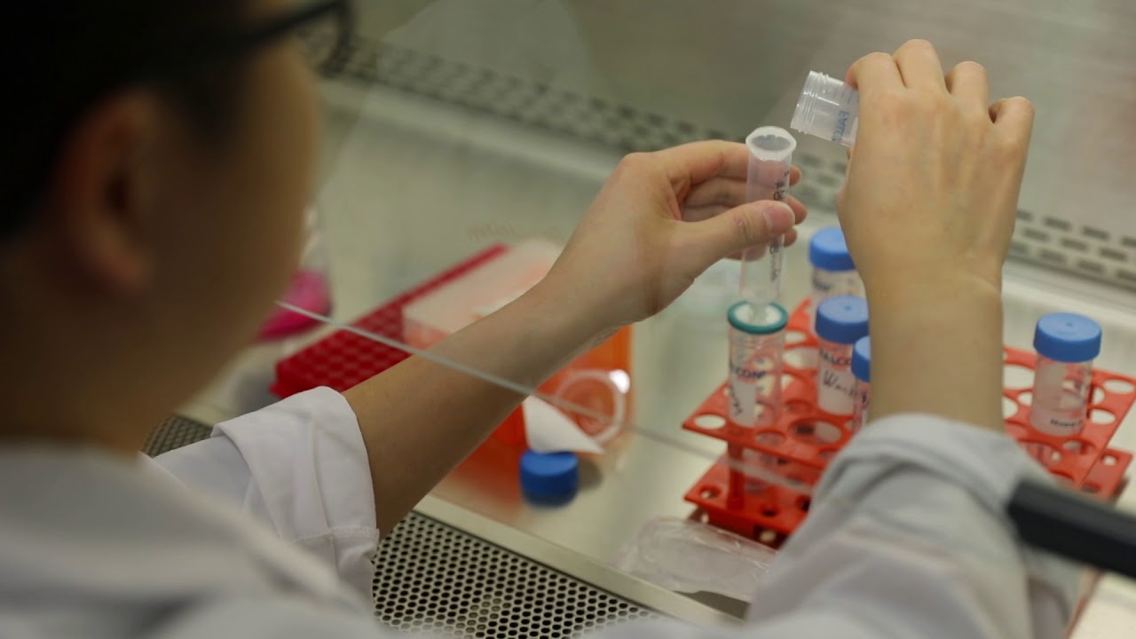 Daniel Garry Interview - YouTube