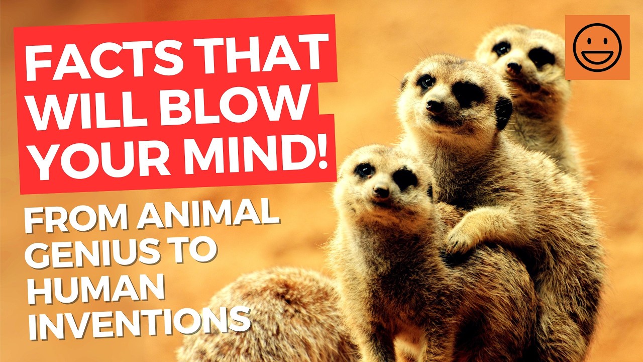 Unbelievable FUN FACTS - The Hidden Wonders of the World You Never Knew ...