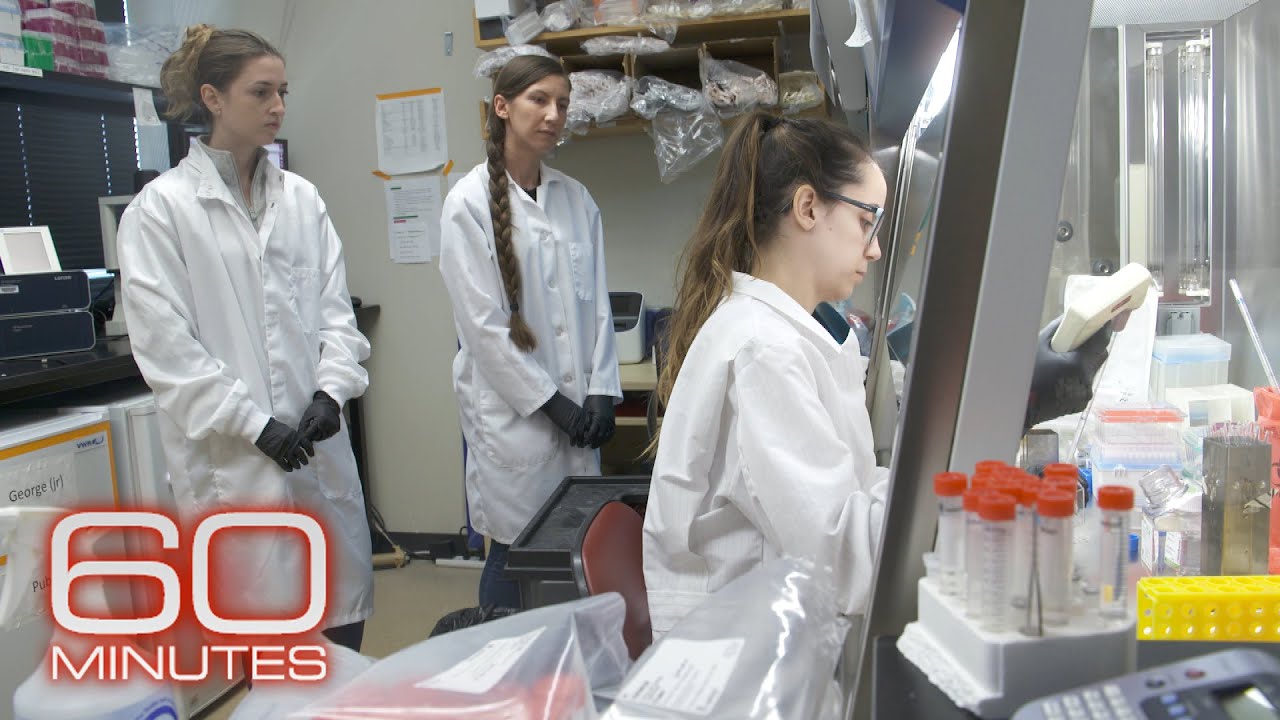 How soon could humans reverse the aging process with genetic ...