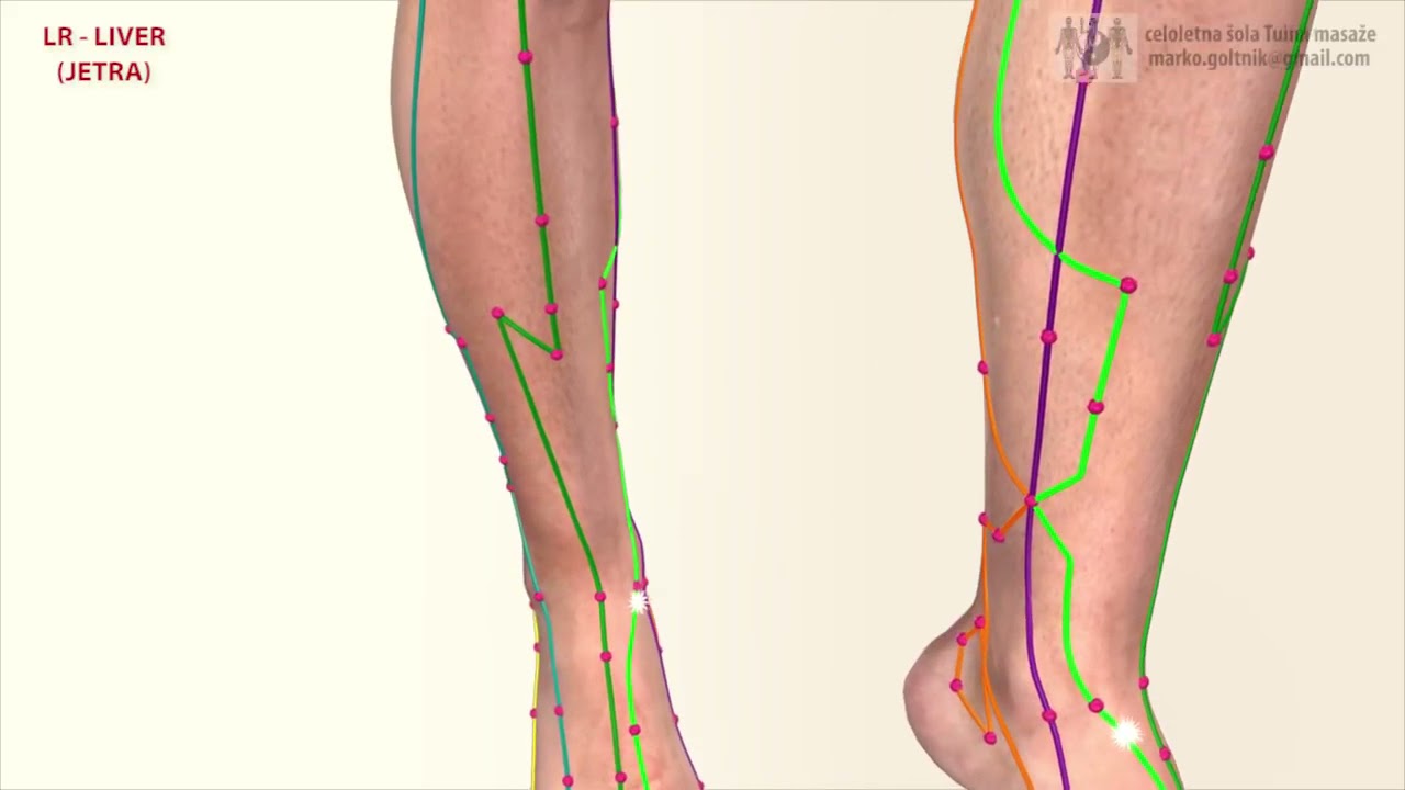 LR LIVER MERIDIAN - YouTube