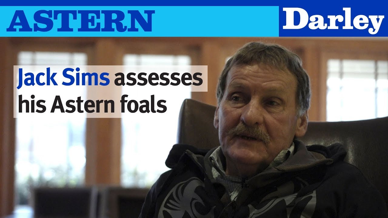 Jack Sims on his Astern foals - YouTube