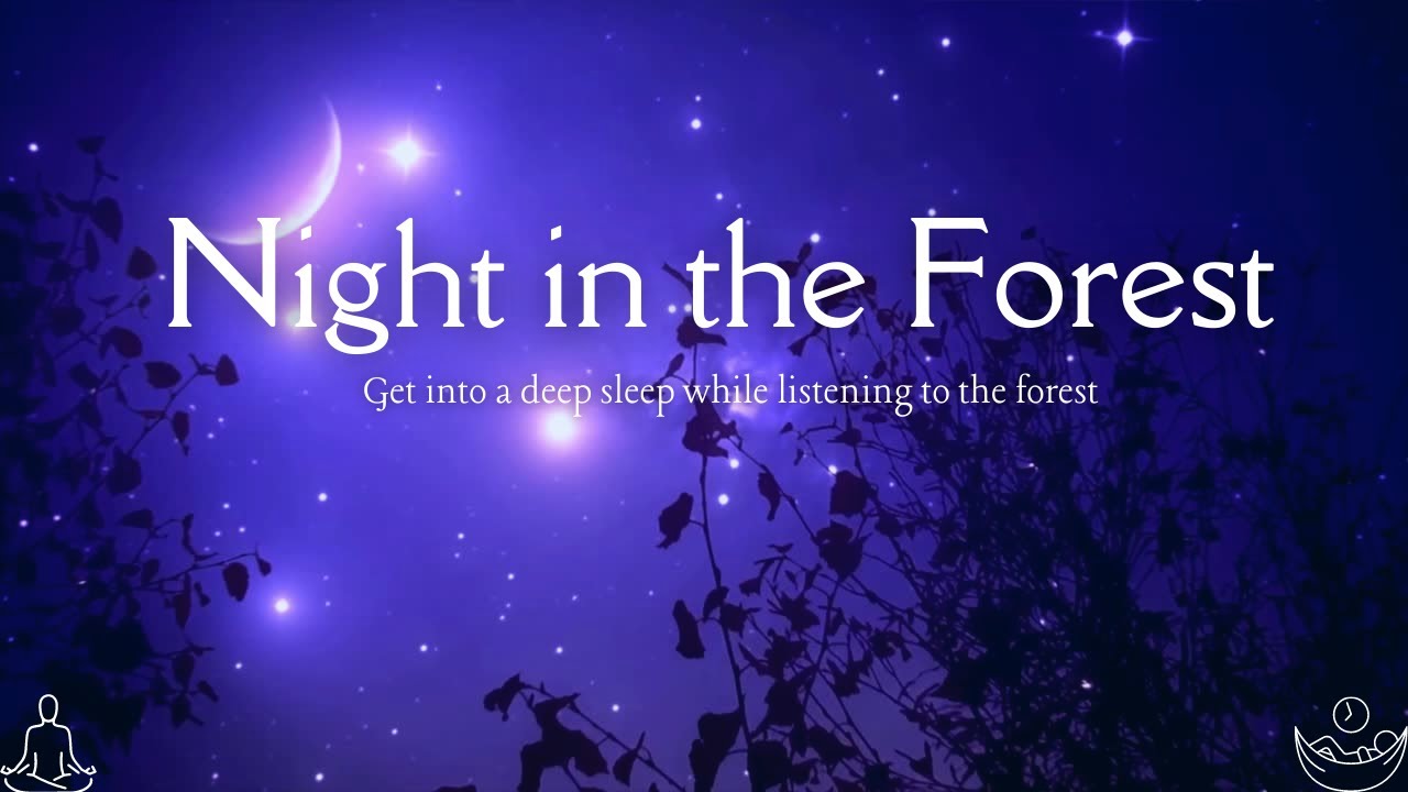 Sleeping in the Forest - YouTube