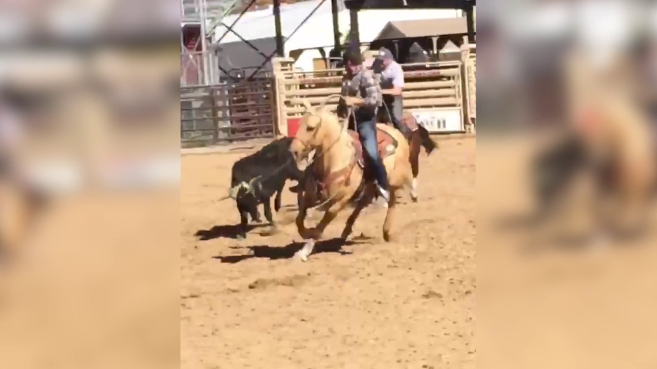 E Young Ranch 5 and Under Team Roping - Spanish Fork, Utah - YouTube