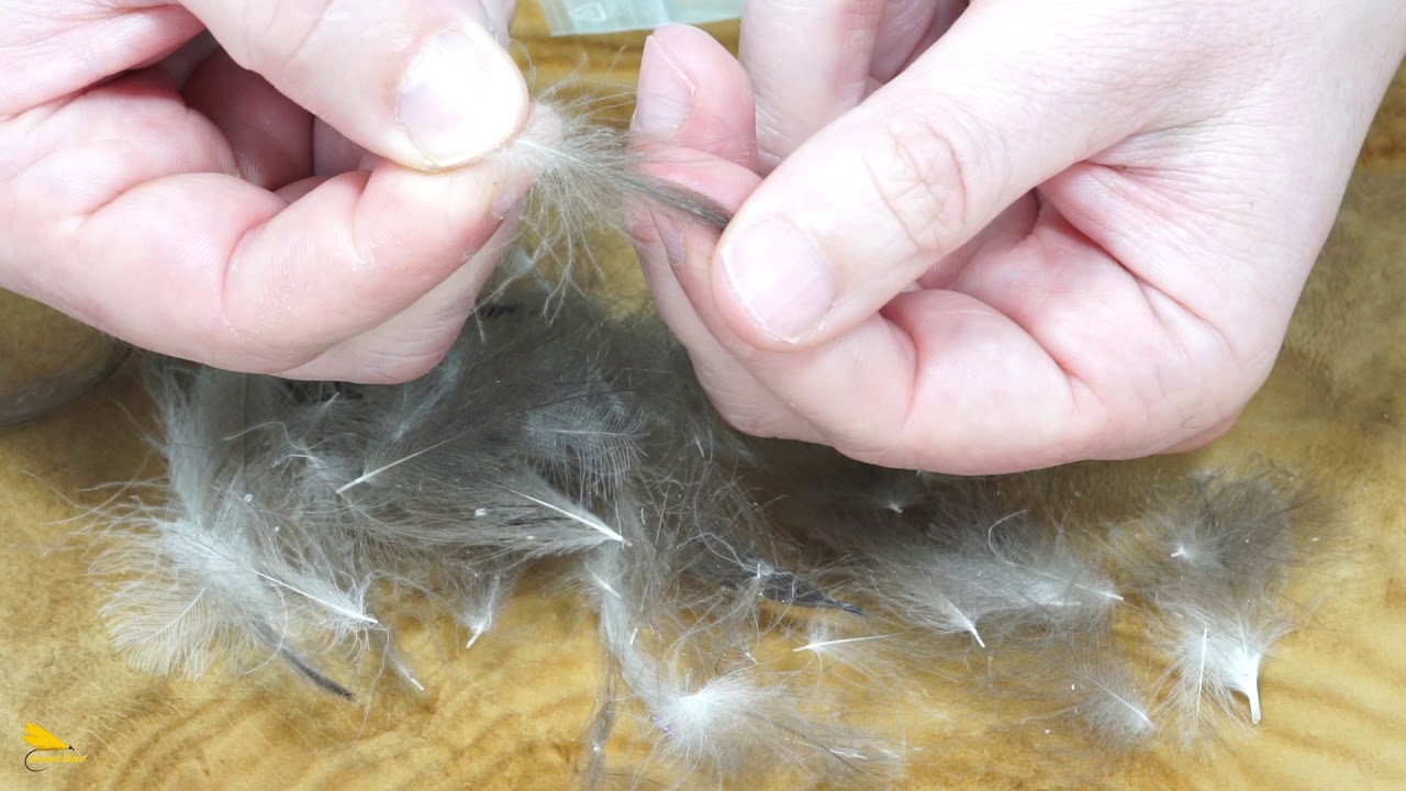 Fly Tying - CDC Natural Grey Tier Pack - Presentation - YouTube
