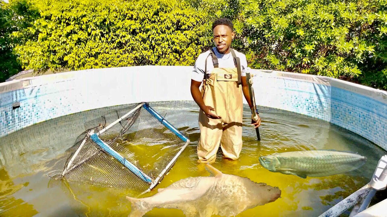 Returning two Fish to their Beloved Owner - YouTube