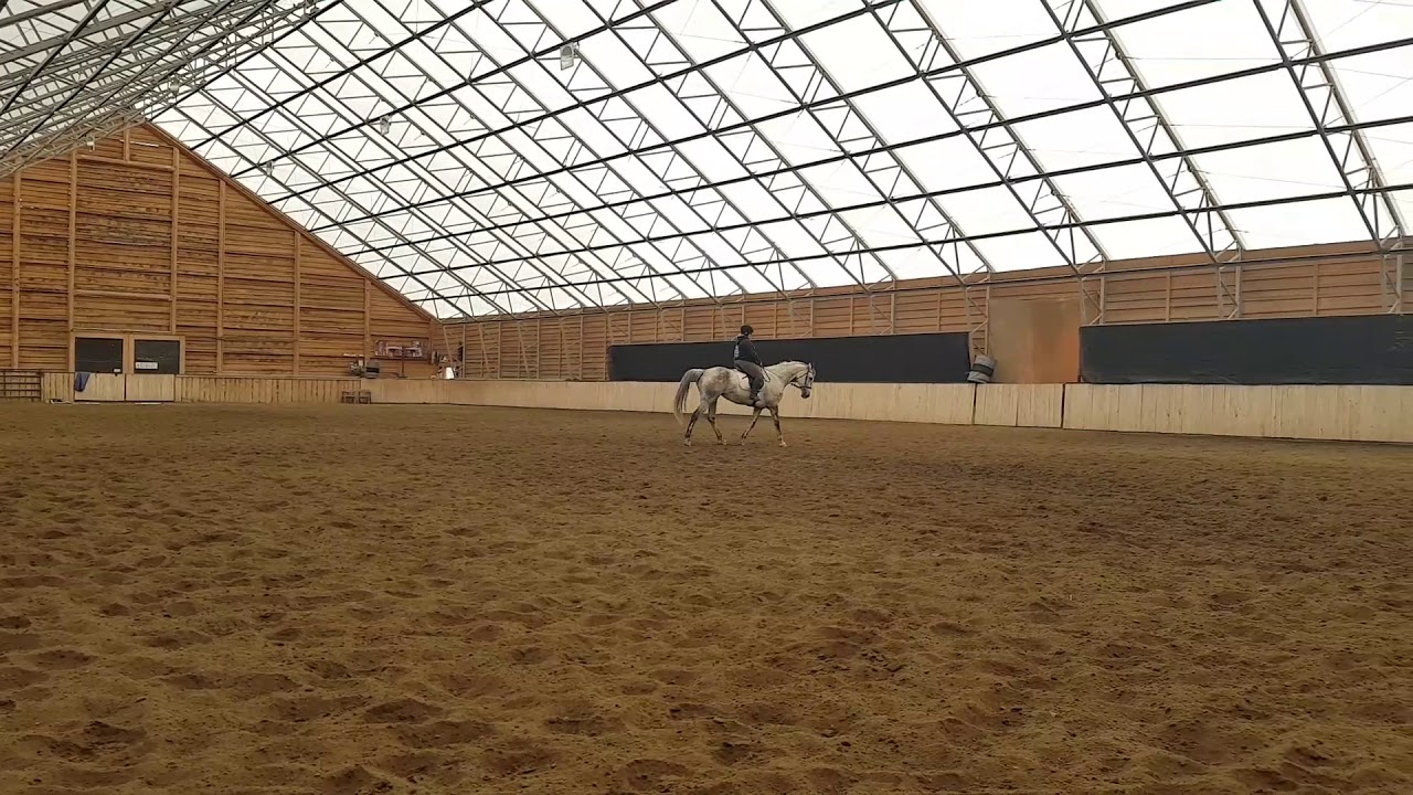 Aeowyn's lovely movement - YouTube