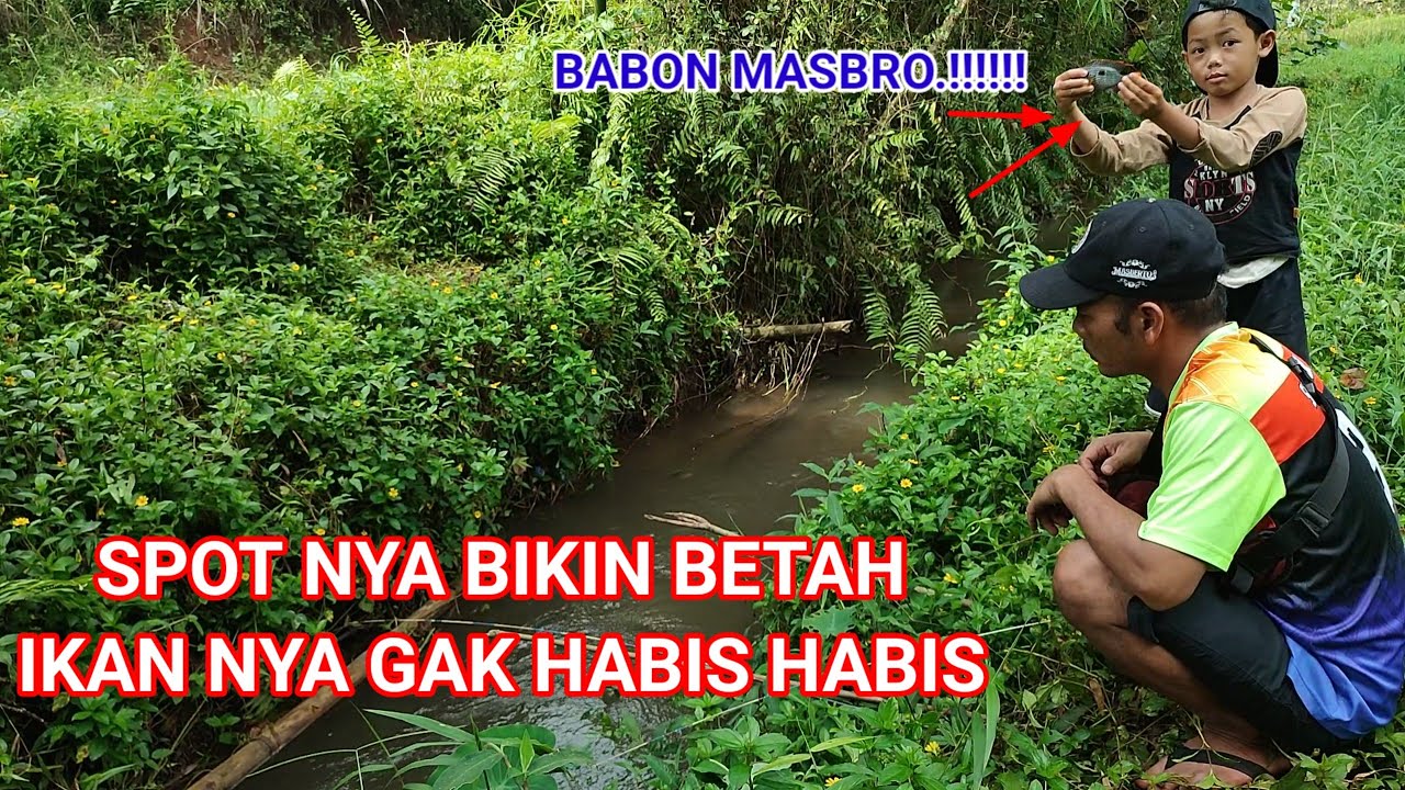 bikin betah kalau spot mancing nya kaya gini #mancing #mancingmania - YouTube