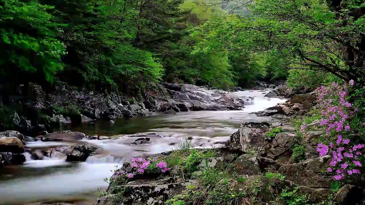 Spring song - YouTube