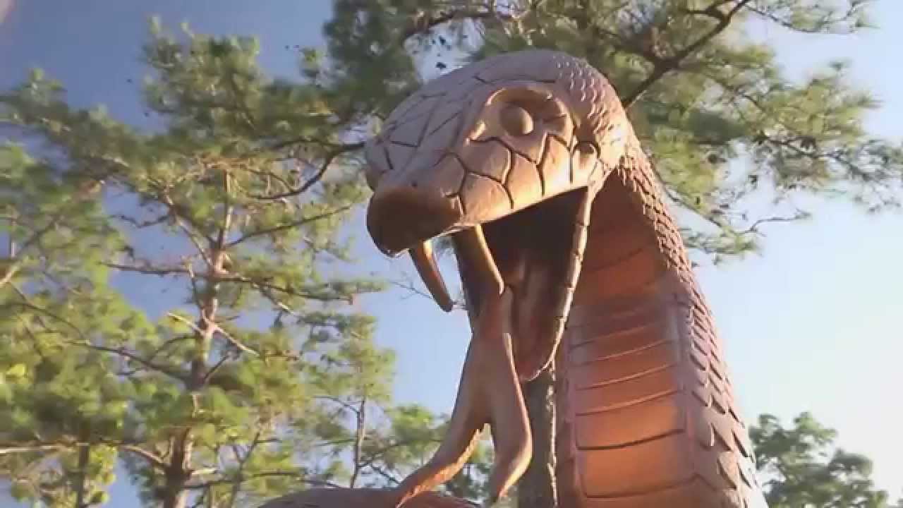 The Copperhead Course at Innisbrook: Holes 15-18 - YouTube