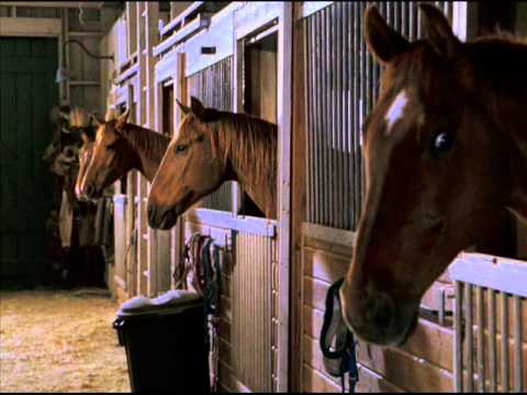 Flicka Soundtrack [Scores]: Sneaking Out of the Barn (02) - YouTube