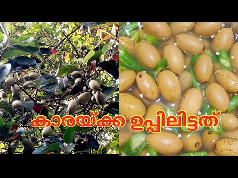 കാരയ്ക്ക ഉപ്പിലിട്ടത് #Kaarakka Uppilittathu ### - YouTube