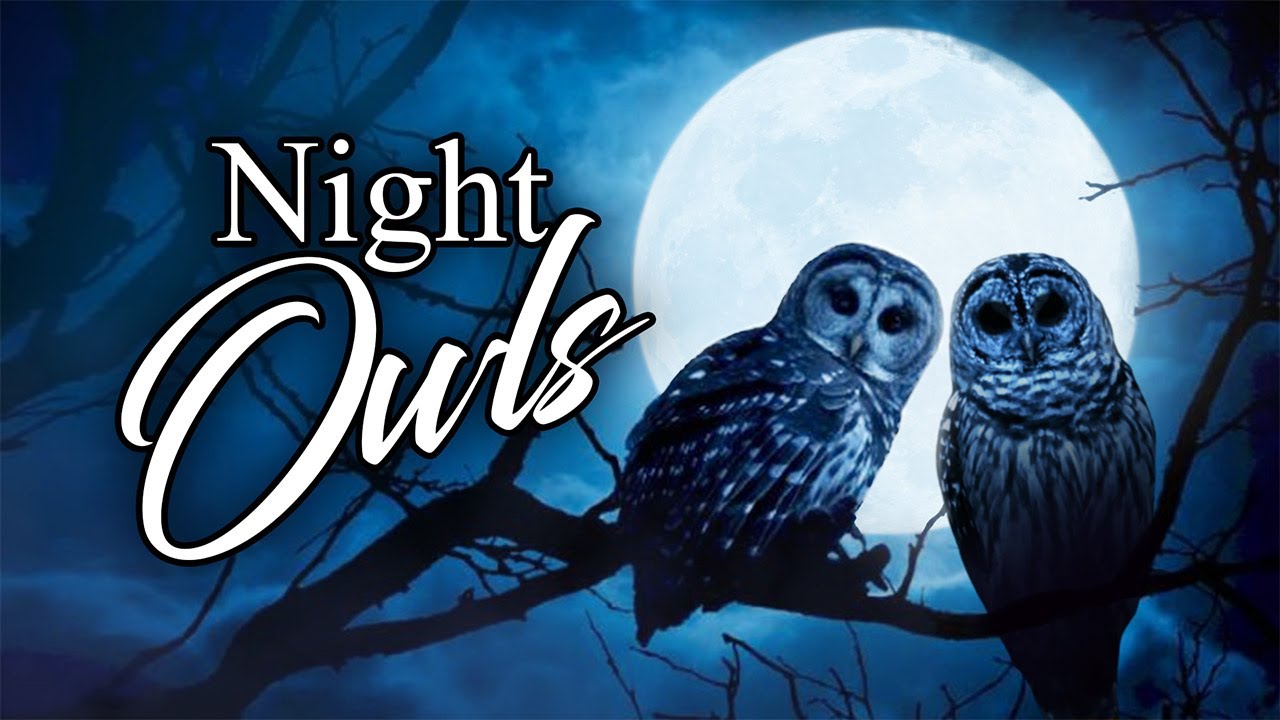 Night Owls - Friday, November 8, 2024 - YouTube