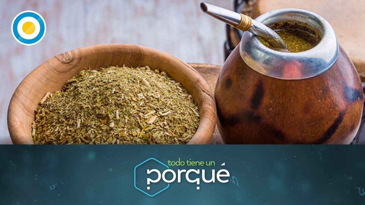 ¿Por qué tenemos el hábito de tomar mate? (4 de 4) - Todo tiene un ...