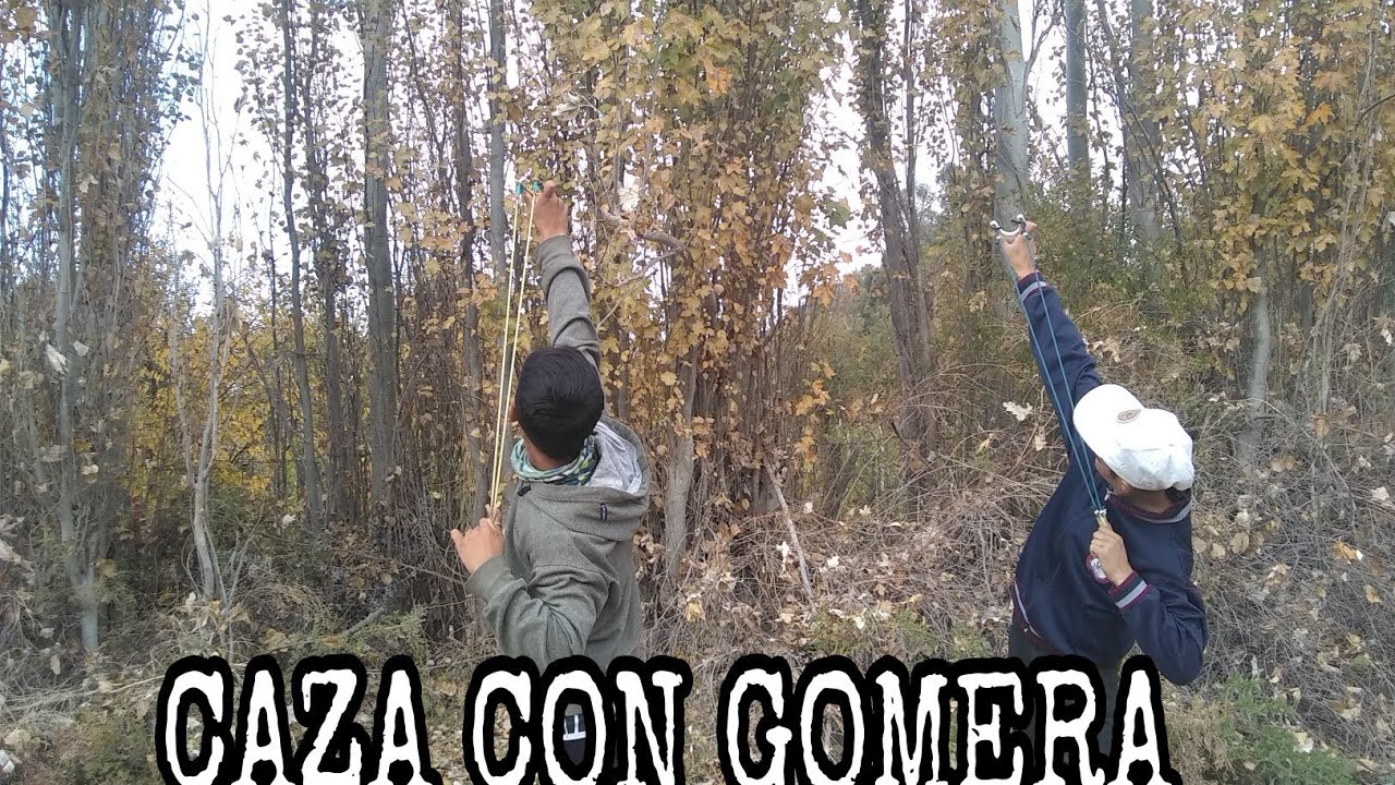 CAZANDO palomas y CUIZES con gomera - YouTube