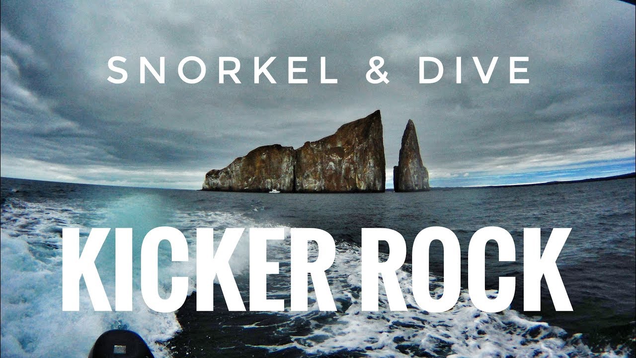 Snorkel & Dive at Kicker Rock! | San Cristobal, Galapagos - YouTube