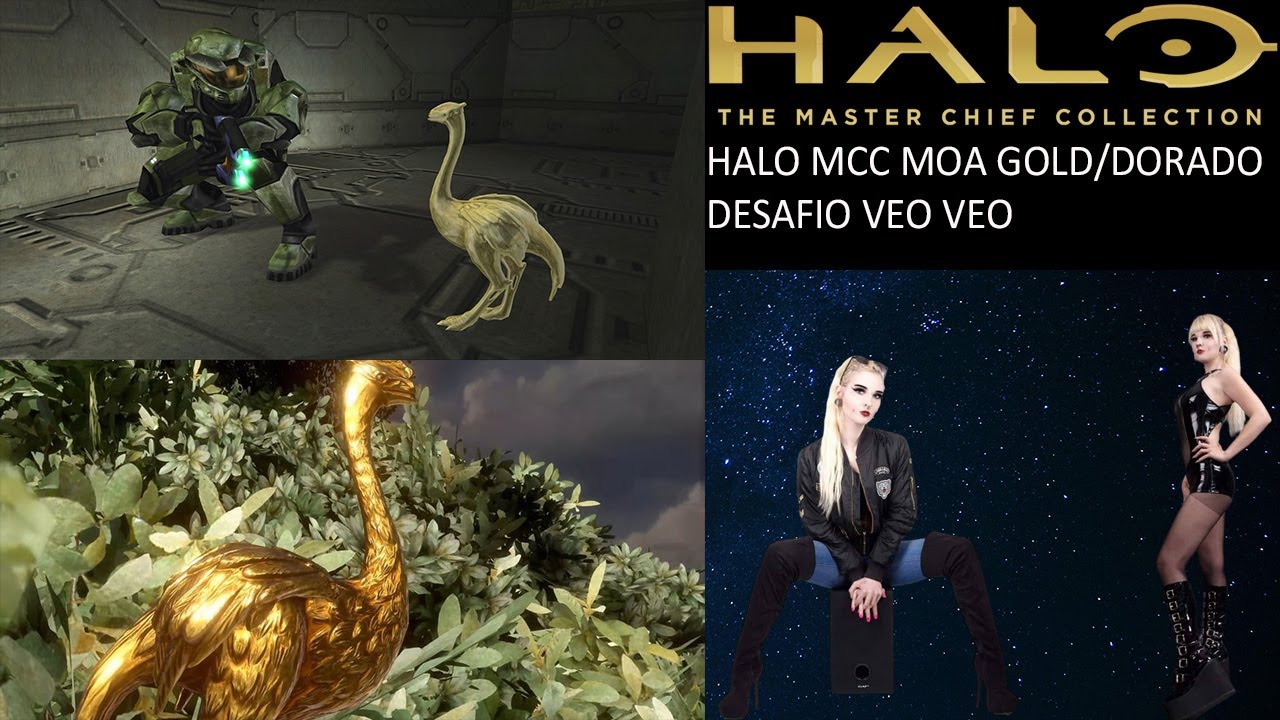 halo mcc sierra 117 moa gold/dorado desafio veo veo ubicacion de moa en ...