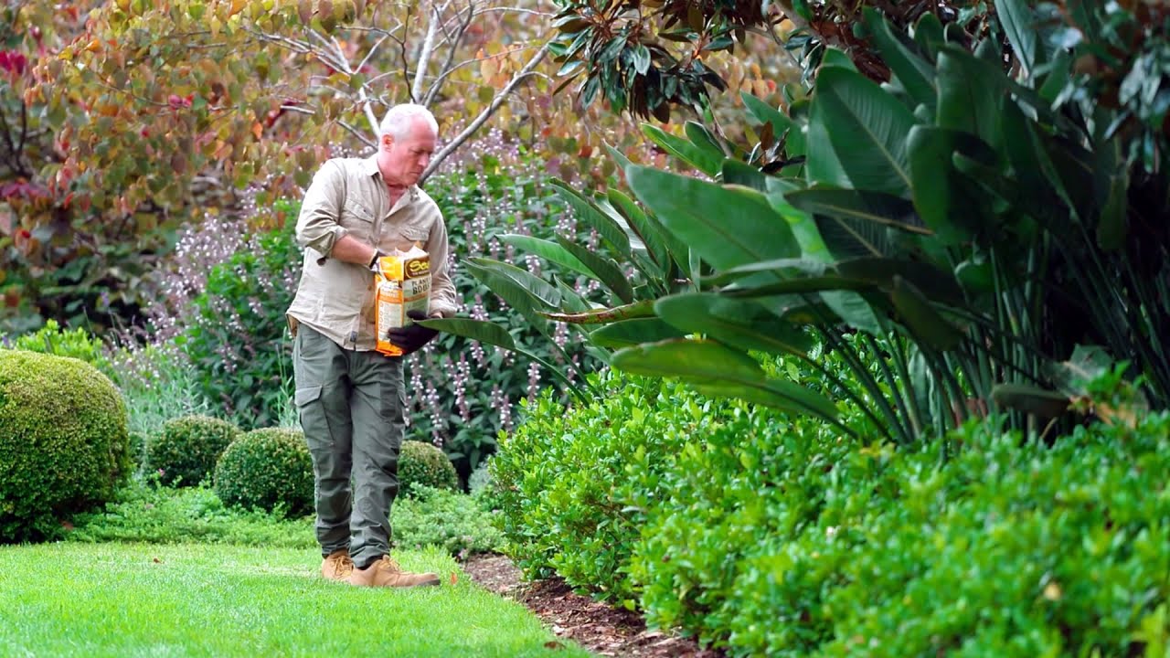 The Garden Gurus - Rejuvenate your soil and boost autumn plant and lawn ...