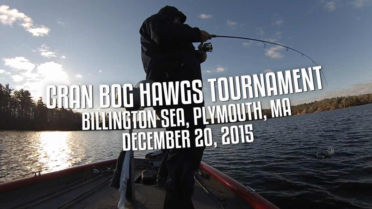 CBH Bass Tournament: Billington Sea, Plymouth, MA - YouTube