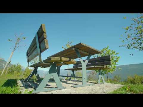 satisfying nature video - YouTube