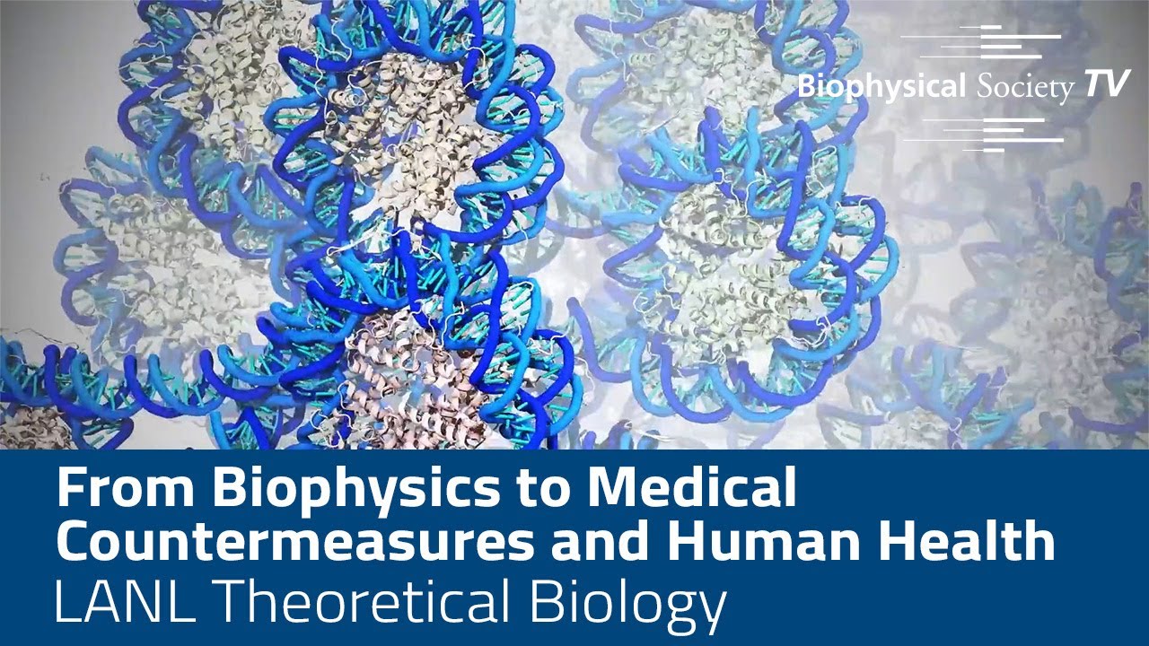 From Biophysics to Medical Countermeasures and Human Health: LANL ...