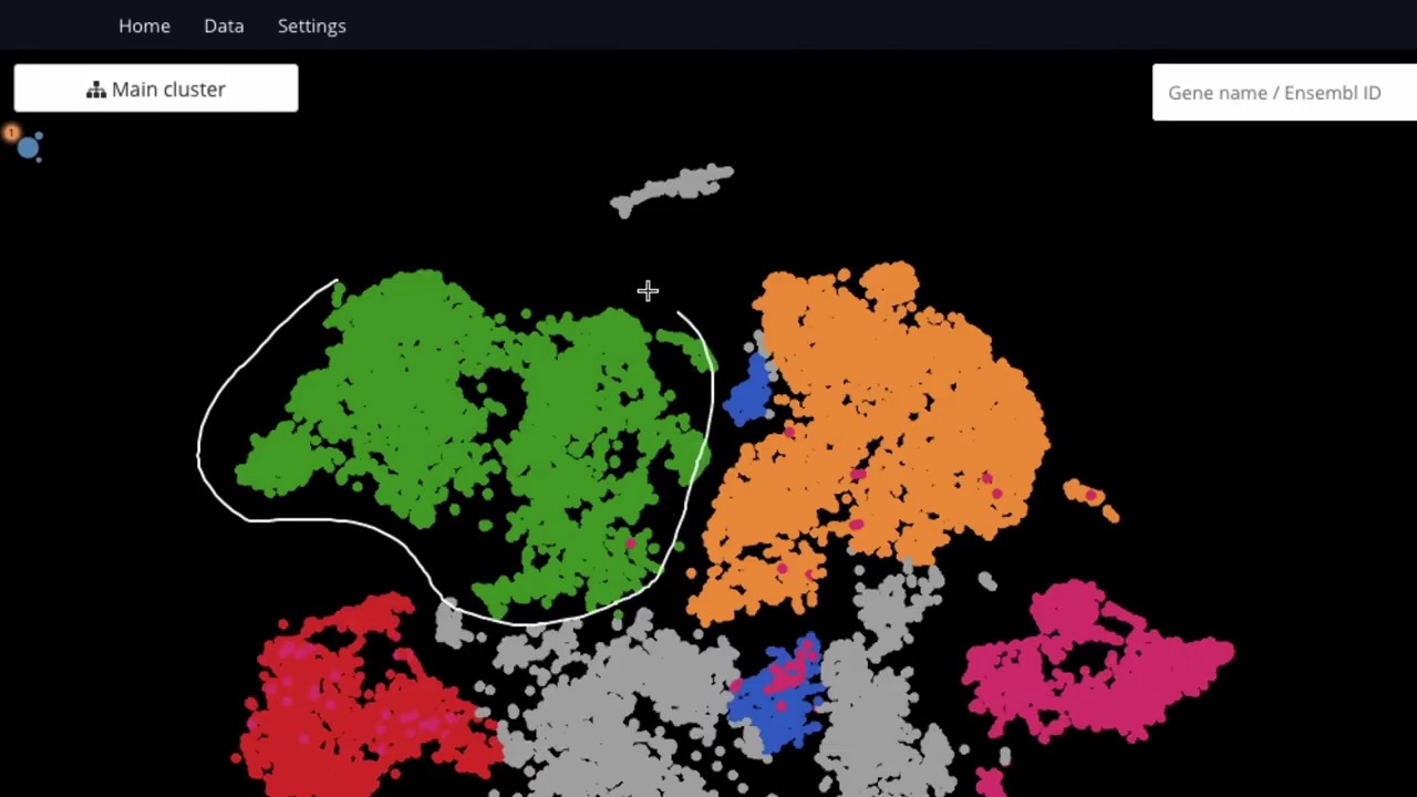BBrowser | A human liver cell atlas reveals heterogeneity and ...