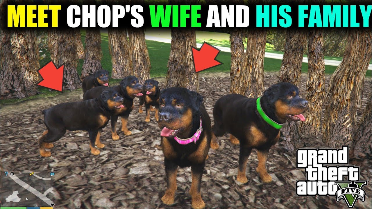 GTA 5 : Techno Gamerz HUSKY DOG Found CHOP WIFE and His Puppies OMG 😱🤩 ...