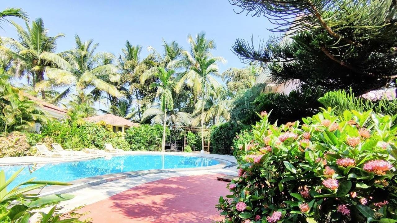 Coconut Grove Beach Resort An Indy Resort, Colva, India - YouTube