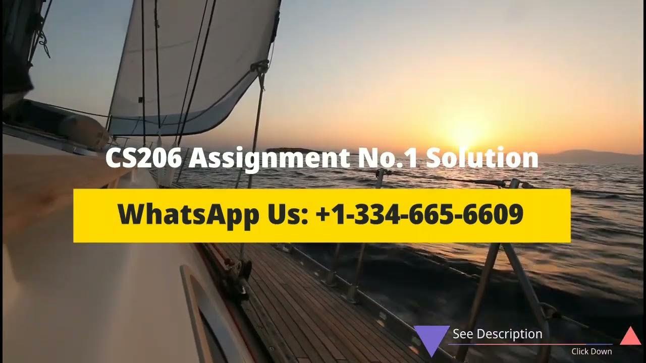 CS206 Assignment No. 1 Solution Spring 2022 - YouTube