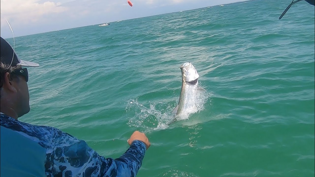 EPIC TARPON JUMP - YouTube