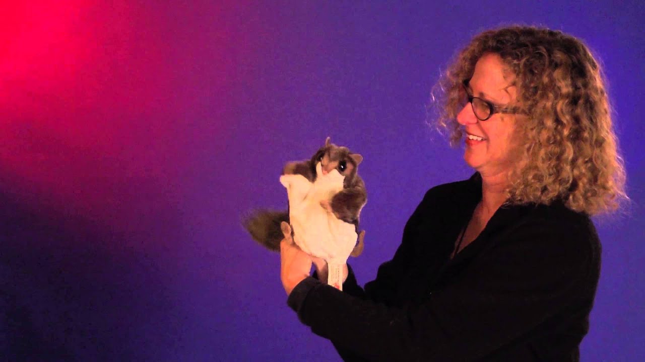 Folkmanis® Flying Squirrel Puppet Demo - YouTube
