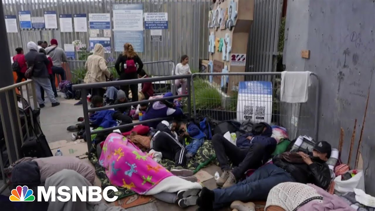 Record high number of people have fled their homes for safety, says ...