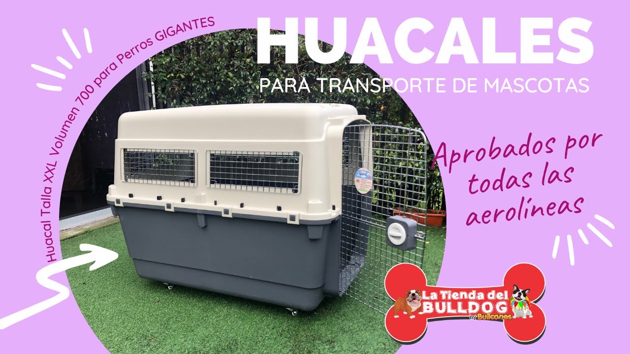 KENNEL 700 - HUACAL PARA PERROS GIGANTES - GUACAL VOLUMEN 700 TALLA XXL ...