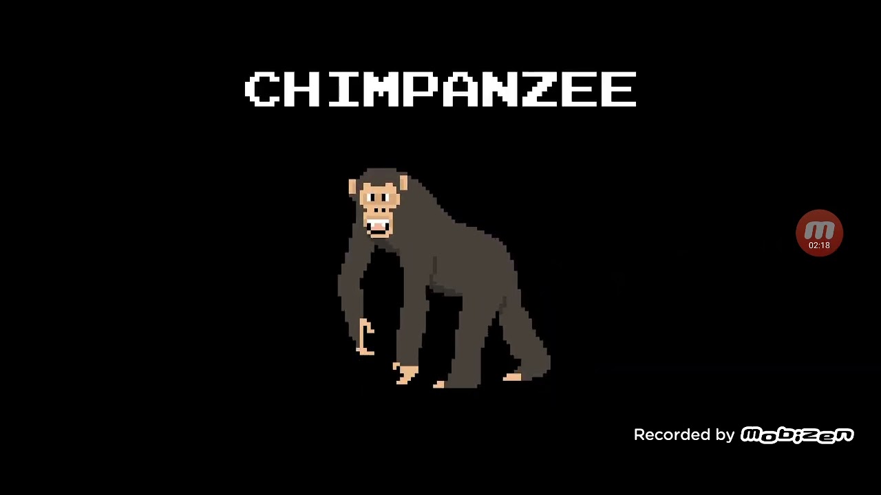 The Kids Picture Show Rainforest Animals Kiddopedia Version YouTube the-kids-picture-show-rainforest-animals-kiddopedia-version-youtube